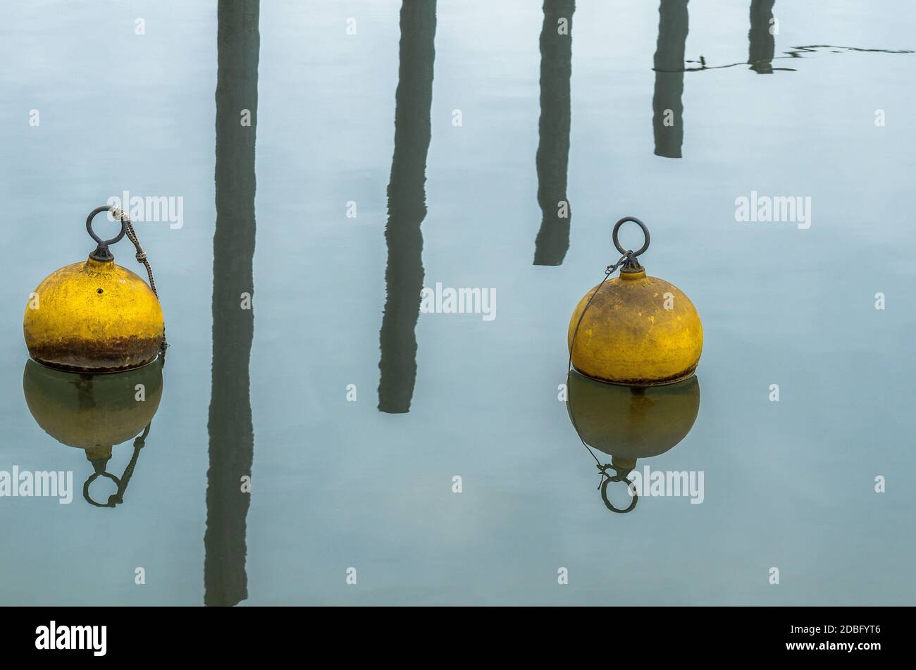 Yellow Mooring Buoys and Harbor Poles Reflecting on Calm Water Stock ...