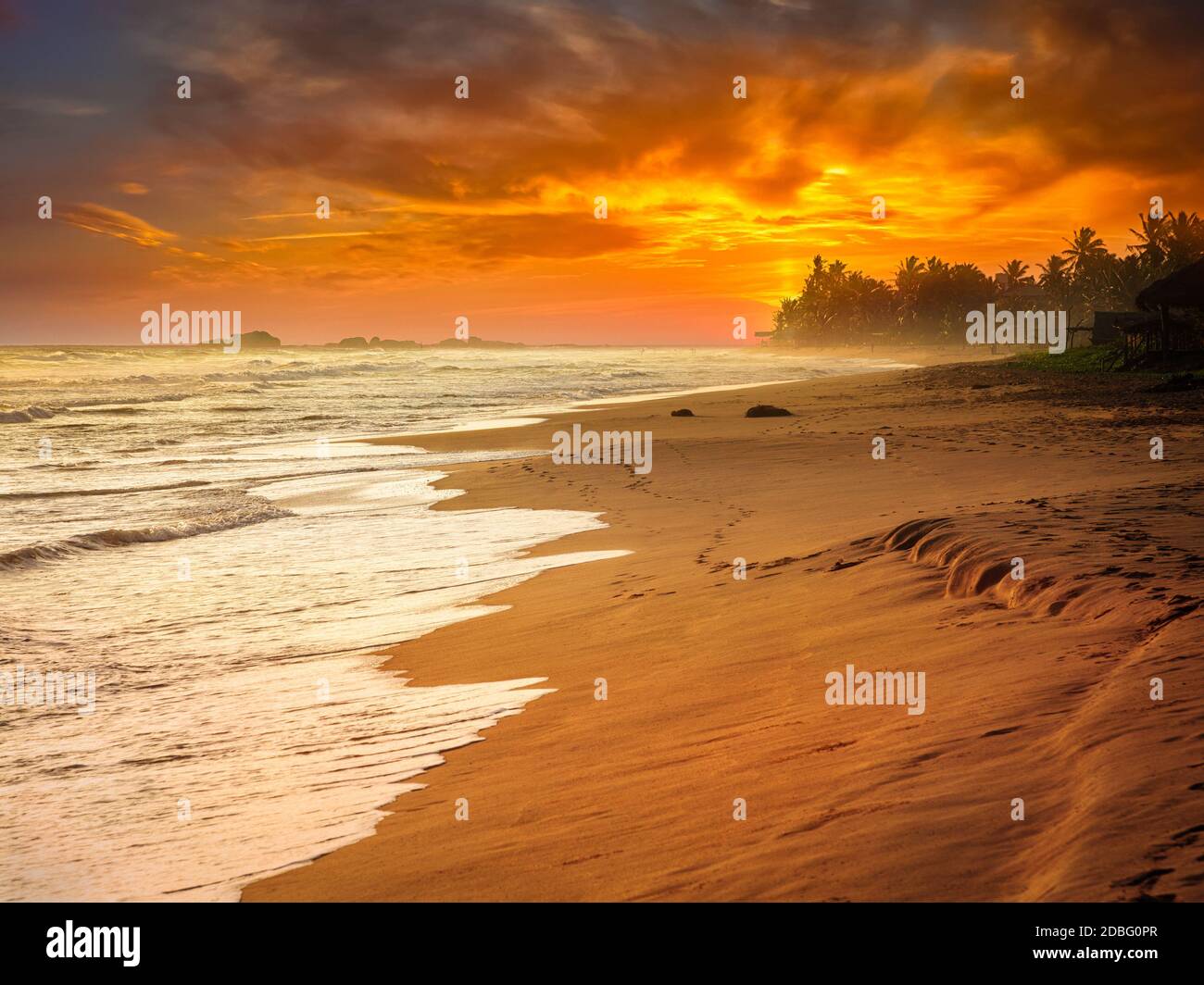 Tropical sunset on ocean beach. Sri Lanka Stock Photo - Alamy