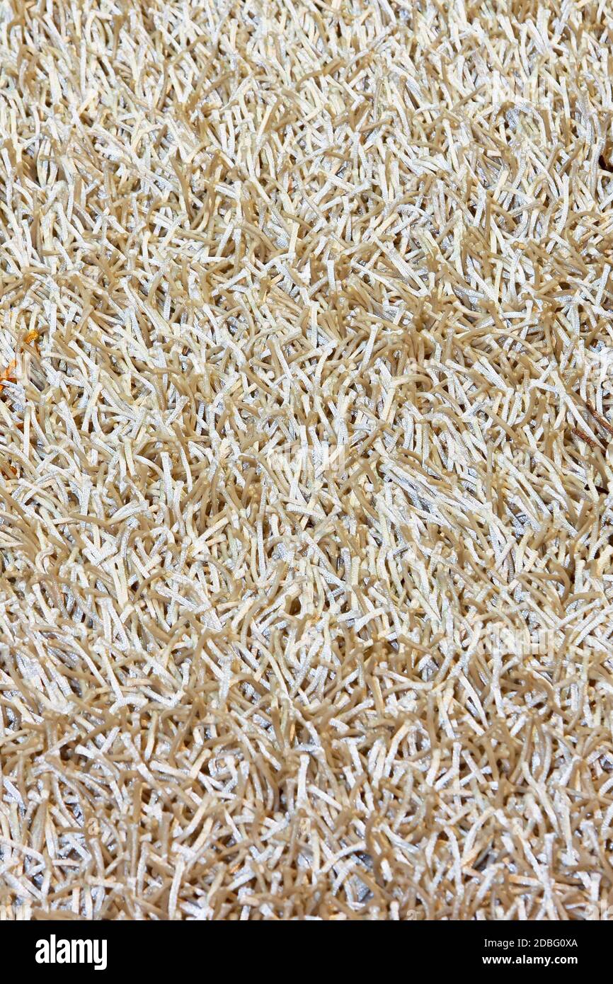 Modern design of carpet with strings texture Stock Photo - Alamy