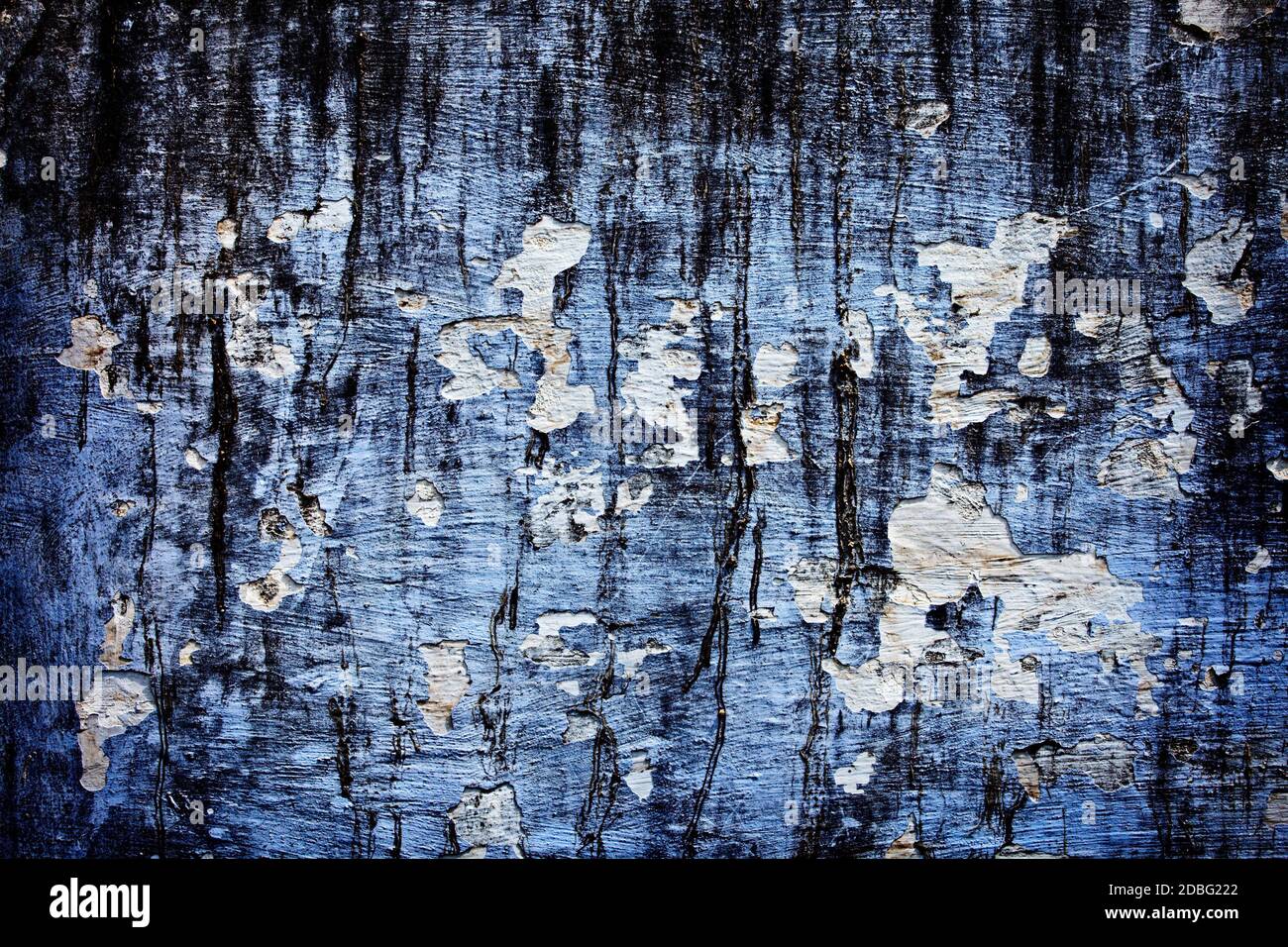 Painted plaster wall texture Stock Photo - Alamy