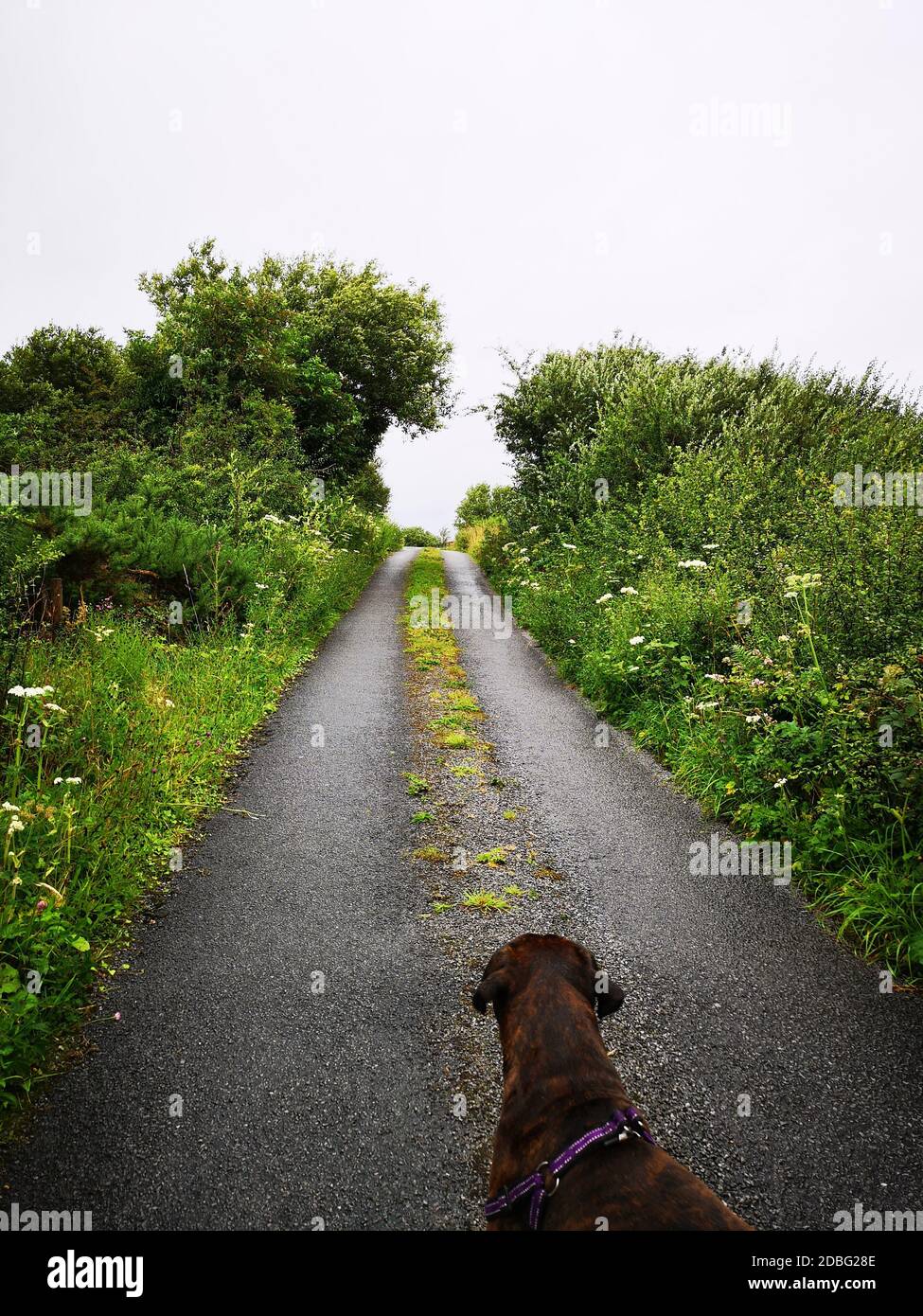Playing field road hi-res stock photography and images - Alamy