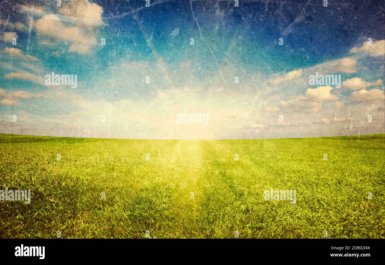 Sunset sun and field of green fresh grass under blue sky Stock Photo ...