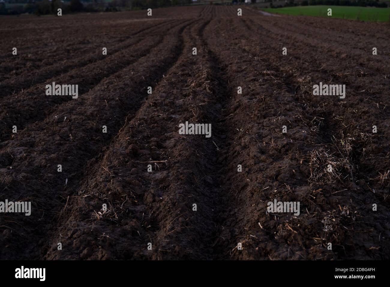Freshly plowed black rich soil on a field in a sunset Stock Photo - Alamy