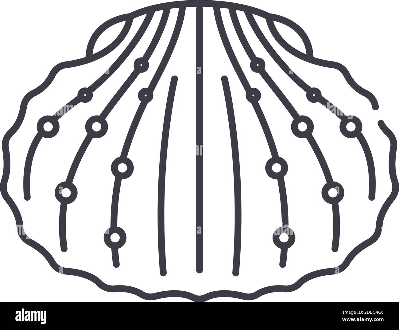 Cockle icon, linear isolated illustration, thin line vector, web design ...