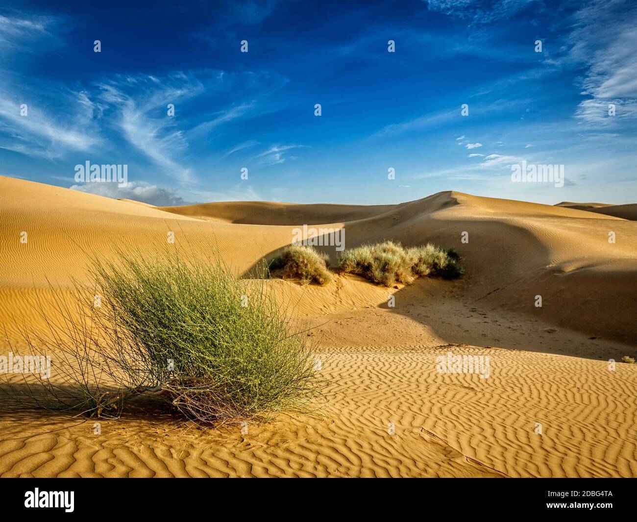 Sam Sand dunes in Thar Desert. Rajasthan, India Stock Photo - Alamy