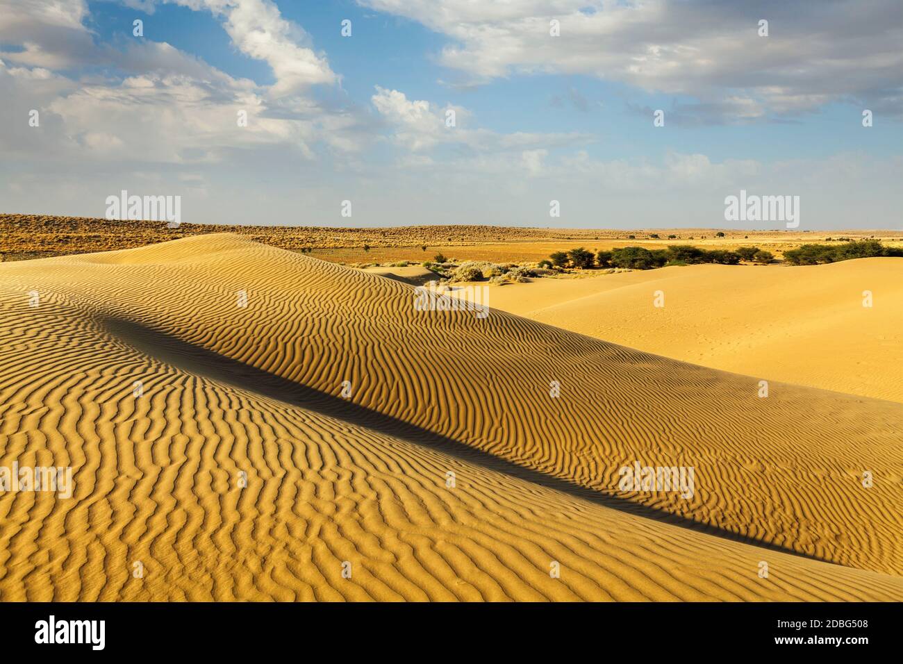 Dunes of Thar Desert. Sam Sand dunes, Rajasthan, India Stock Photo - Alamy