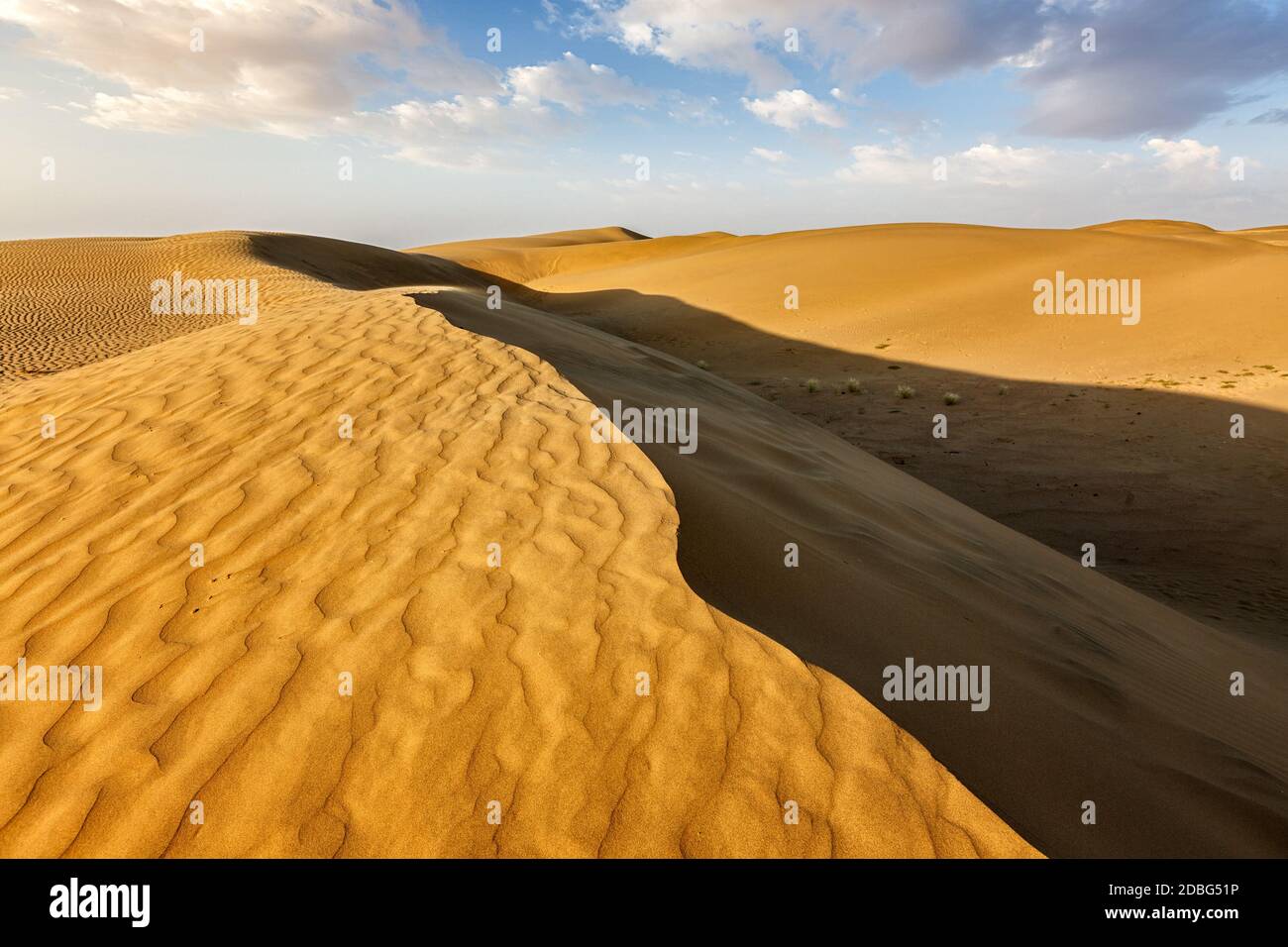Sam Sand dunes in Thar Desert. Rajasthan, India Stock Photo - Alamy
