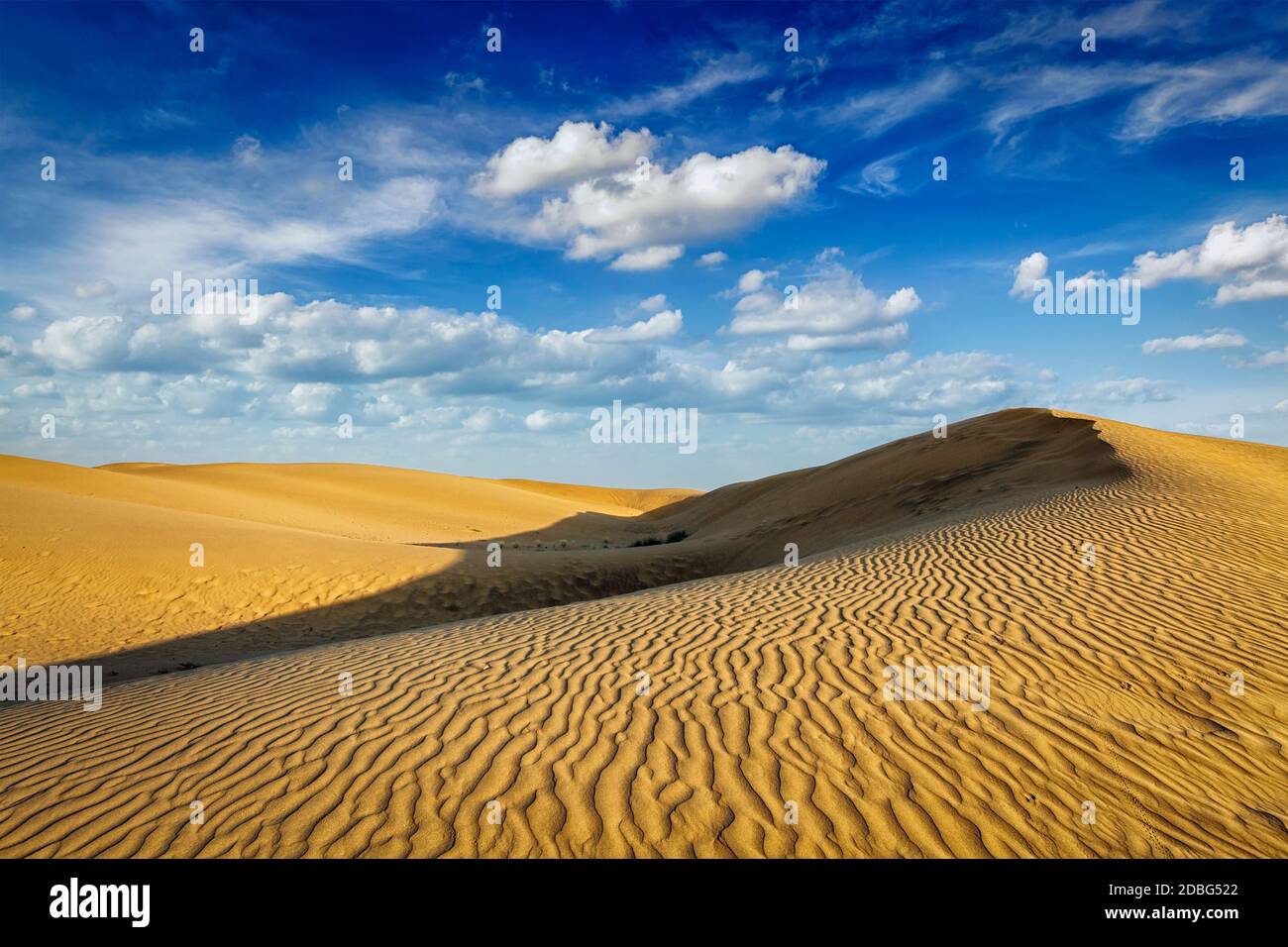Sam Sand dunes in Thar Desert. Rajasthan, India Stock Photo - Alamy