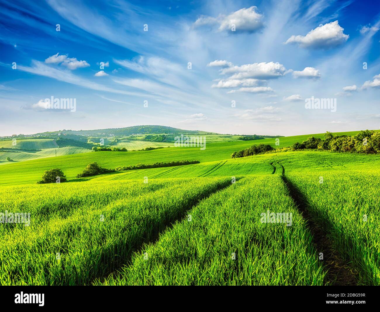 Green fields of Moravia, Czech Republic Stock Photo - Alamy