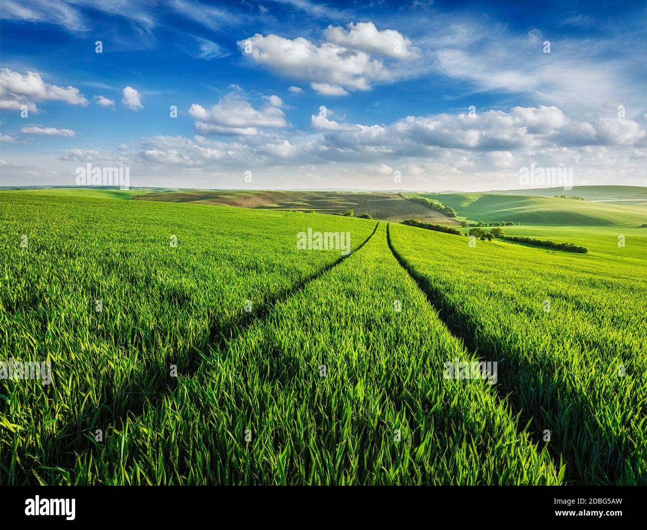 Green fields of Moravia, Czech Republic Stock Photo - Alamy
