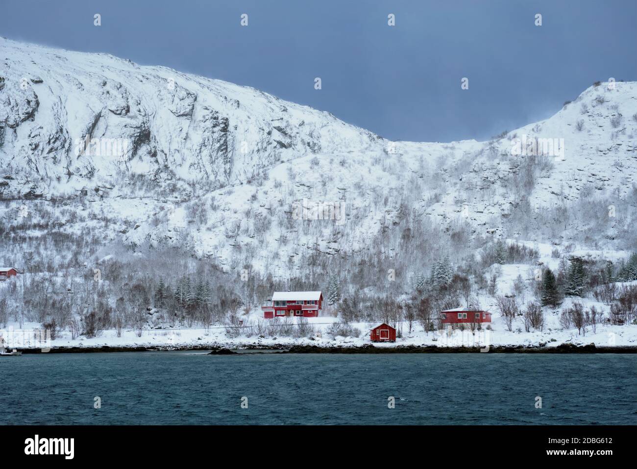 Traditional red rorbu houses on fjord shore in snow in winter. Lofoten ...