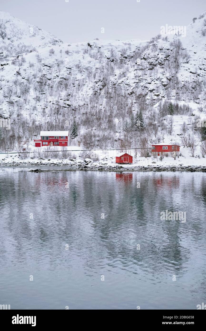 Traditional red rorbu houses on fjord shore in snow in winter. Lofoten ...