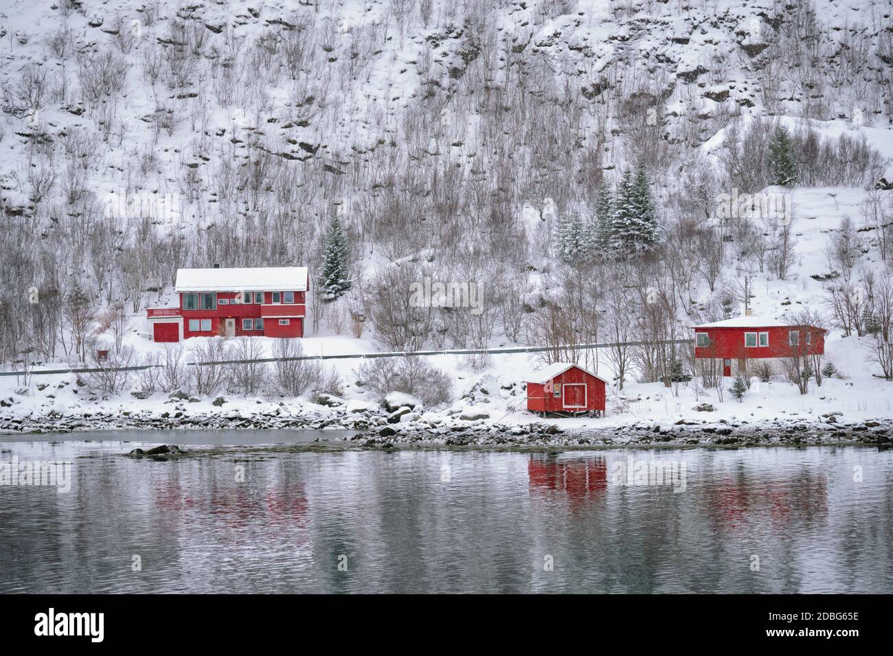 Traditional red rorbu houses on fjord shore in snow in winter. Lofoten ...