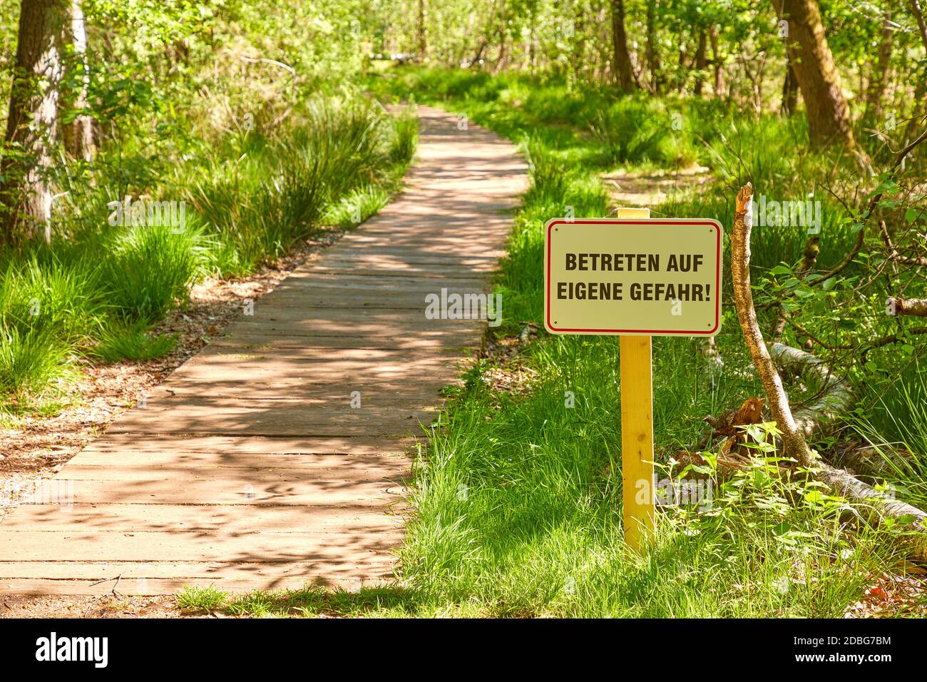 Path through a bog Stock Photo - Alamy