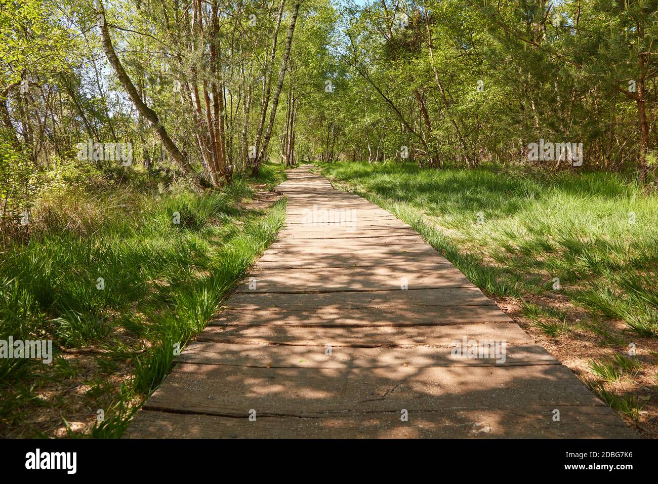 Path through marshland hi-res stock photography and images - Alamy