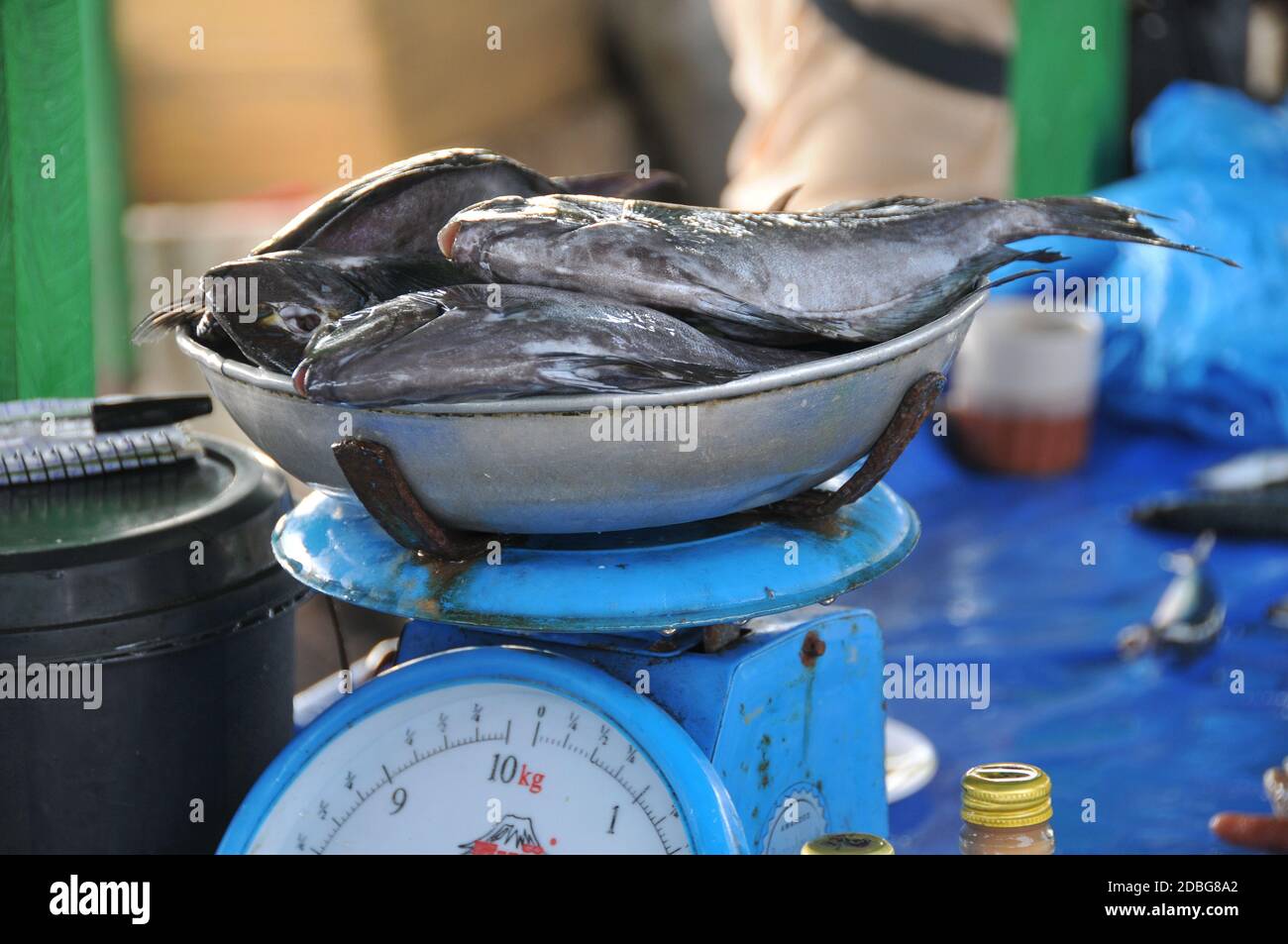 Fish market in philippines hi-res stock photography and images - Alamy