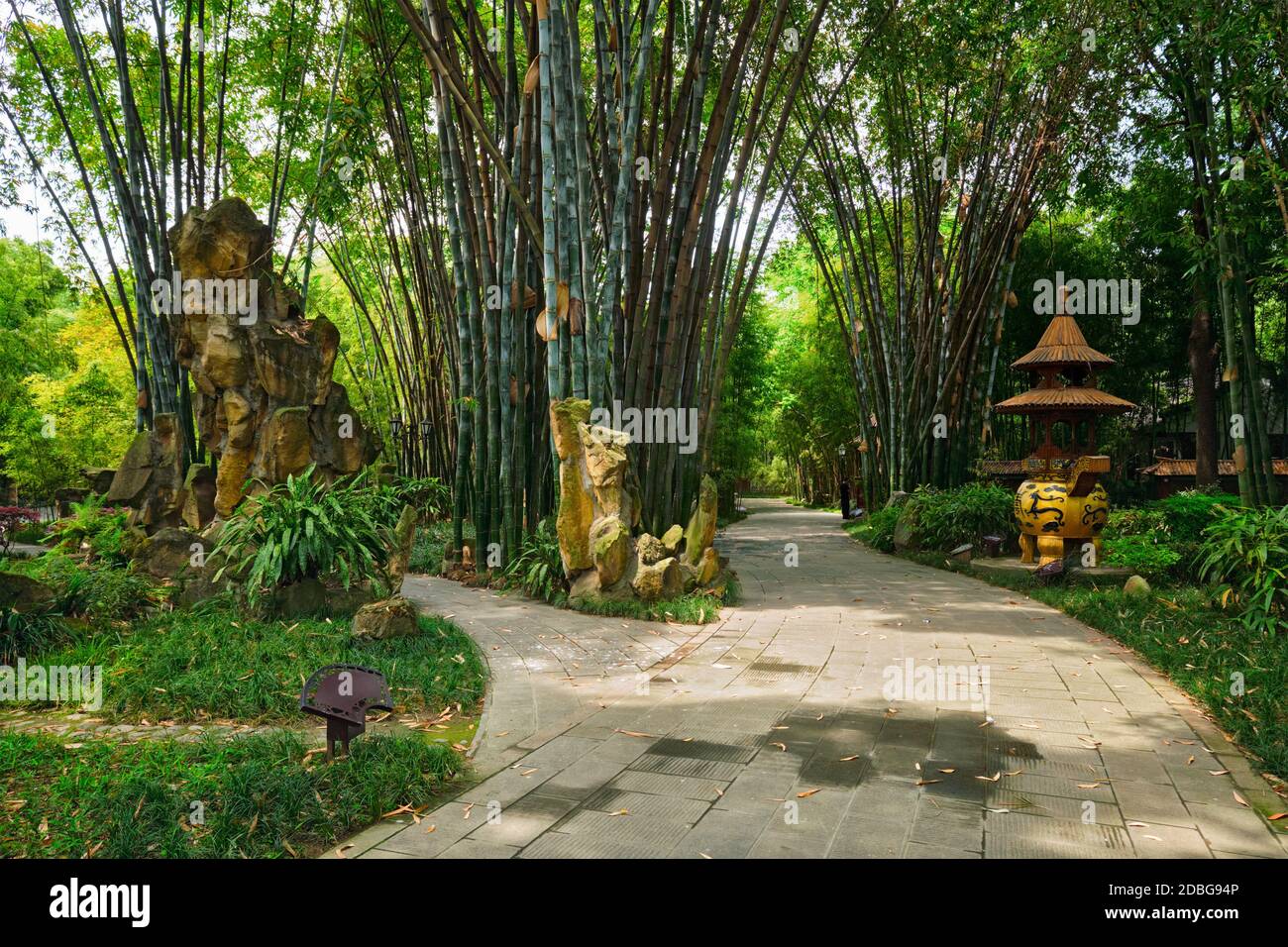 Path in bamboo forest brove in Wangjiang Pavilion (Wangjiang Tower ...