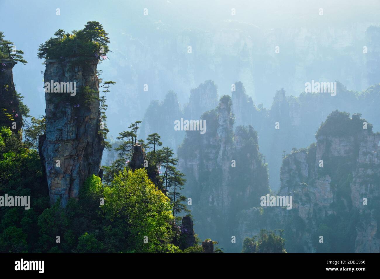 Famous tourist attraction of China - Zhangjiajie stone pillars cliff ...