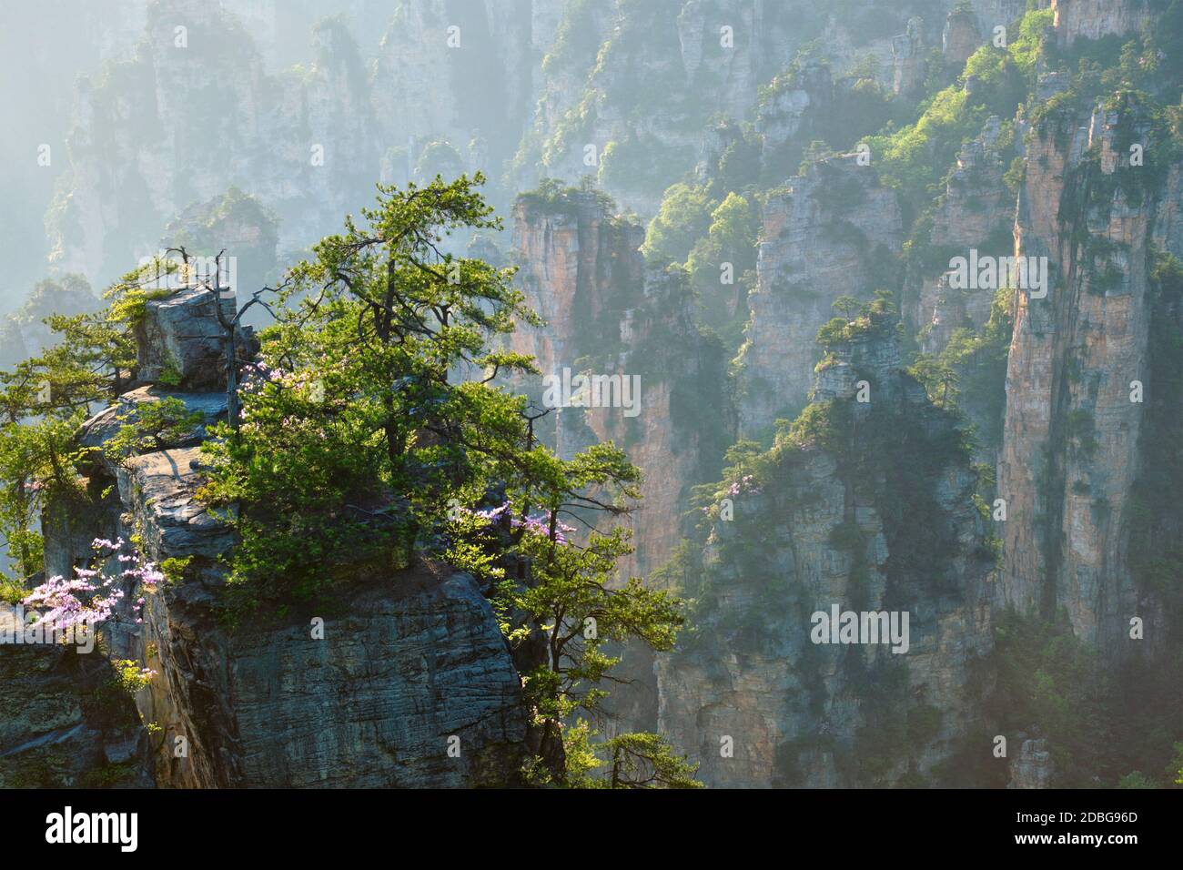 Famous tourist attraction of China - Zhangjiajie stone pillars cliff ...