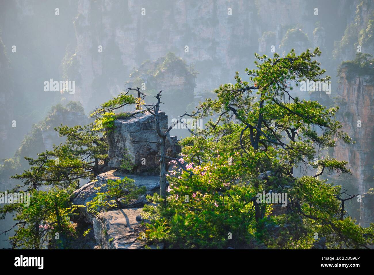Famous tourist attraction of China - Zhangjiajie stone pillars cliff ...