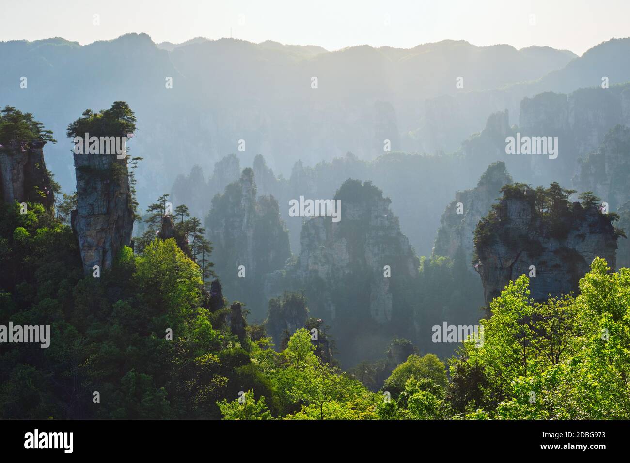 Famous tourist attraction of China - Zhangjiajie stone pillars cliff ...