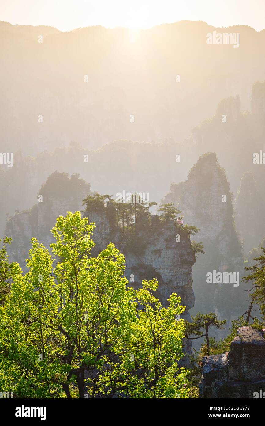 Famous tourist attraction of China - Zhangjiajie stone pillars cliff ...