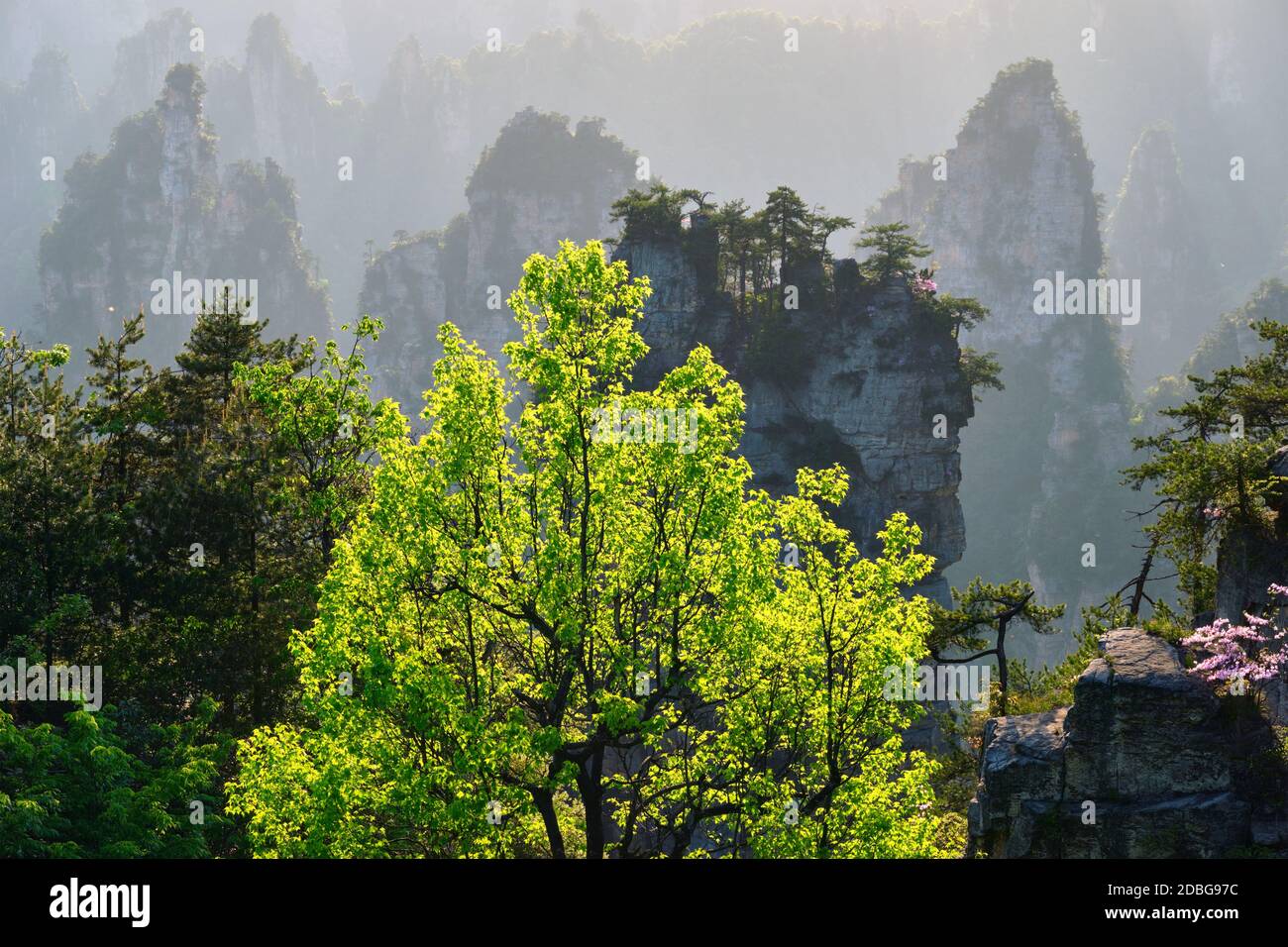 Famous tourist attraction of China - Zhangjiajie stone pillars cliff ...
