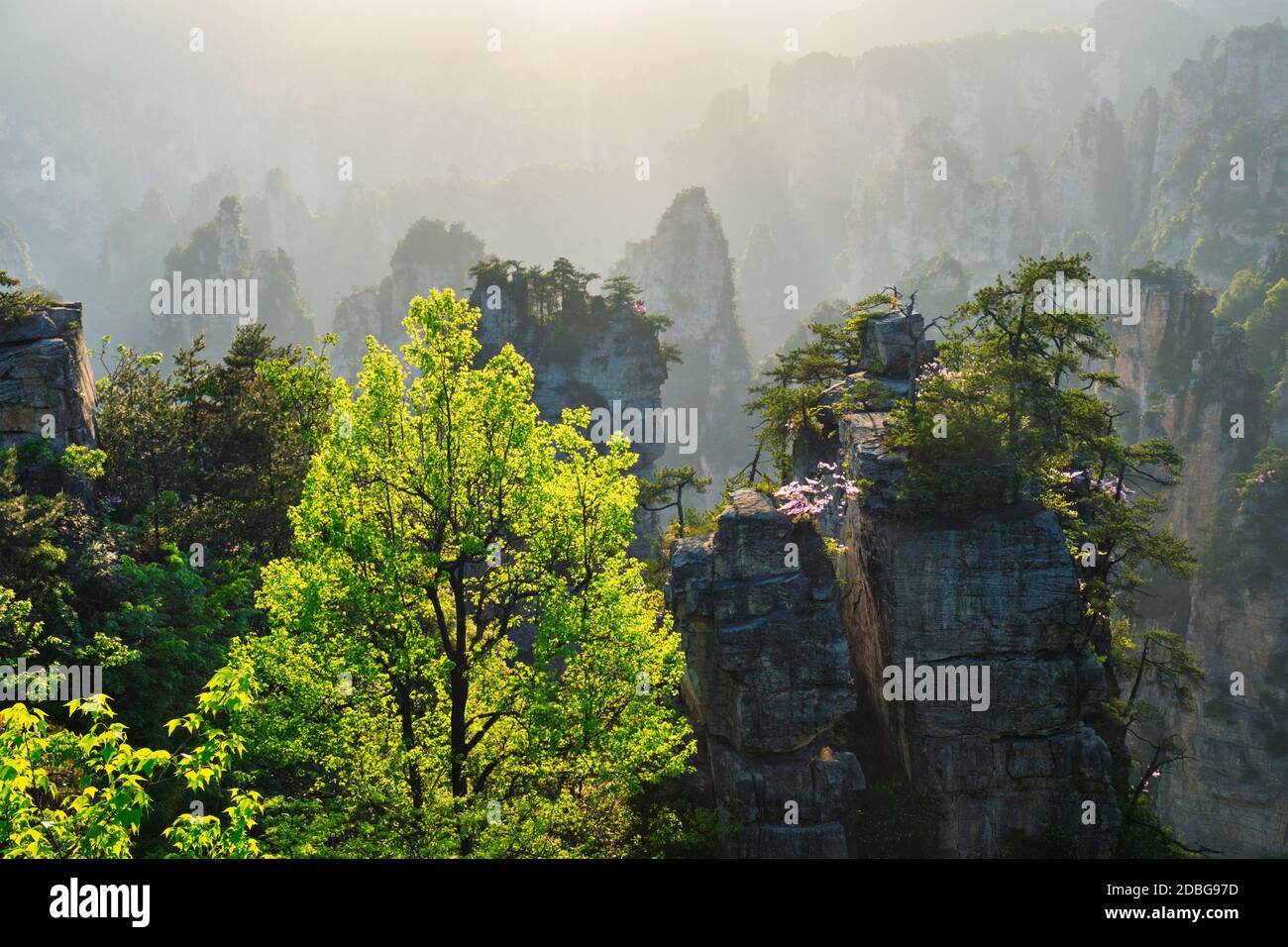 Famous tourist attraction of China - Zhangjiajie stone pillars cliff ...