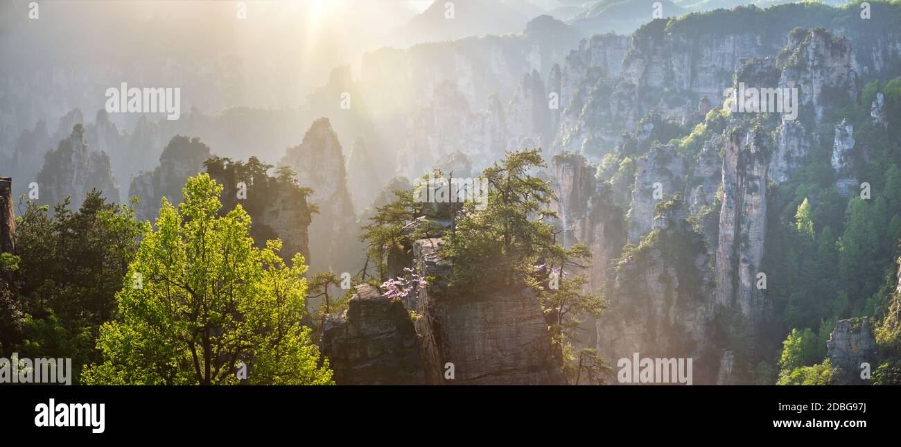 Famous tourist attraction of China - panorama of Zhangjiajie stone ...