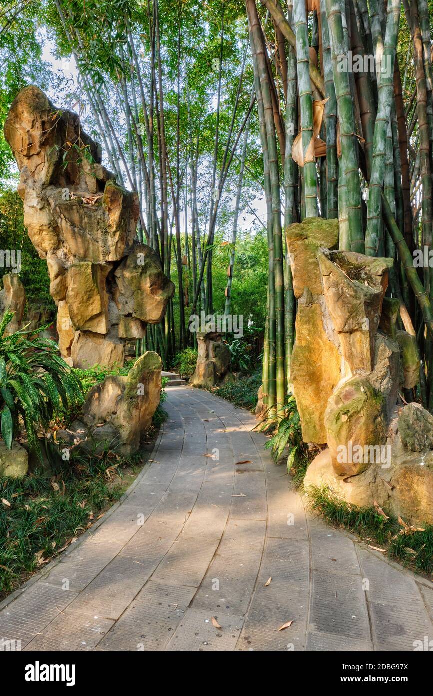 Path in bamboo forest brove in Wangjiang Pavilion (Wangjiang Tower ...