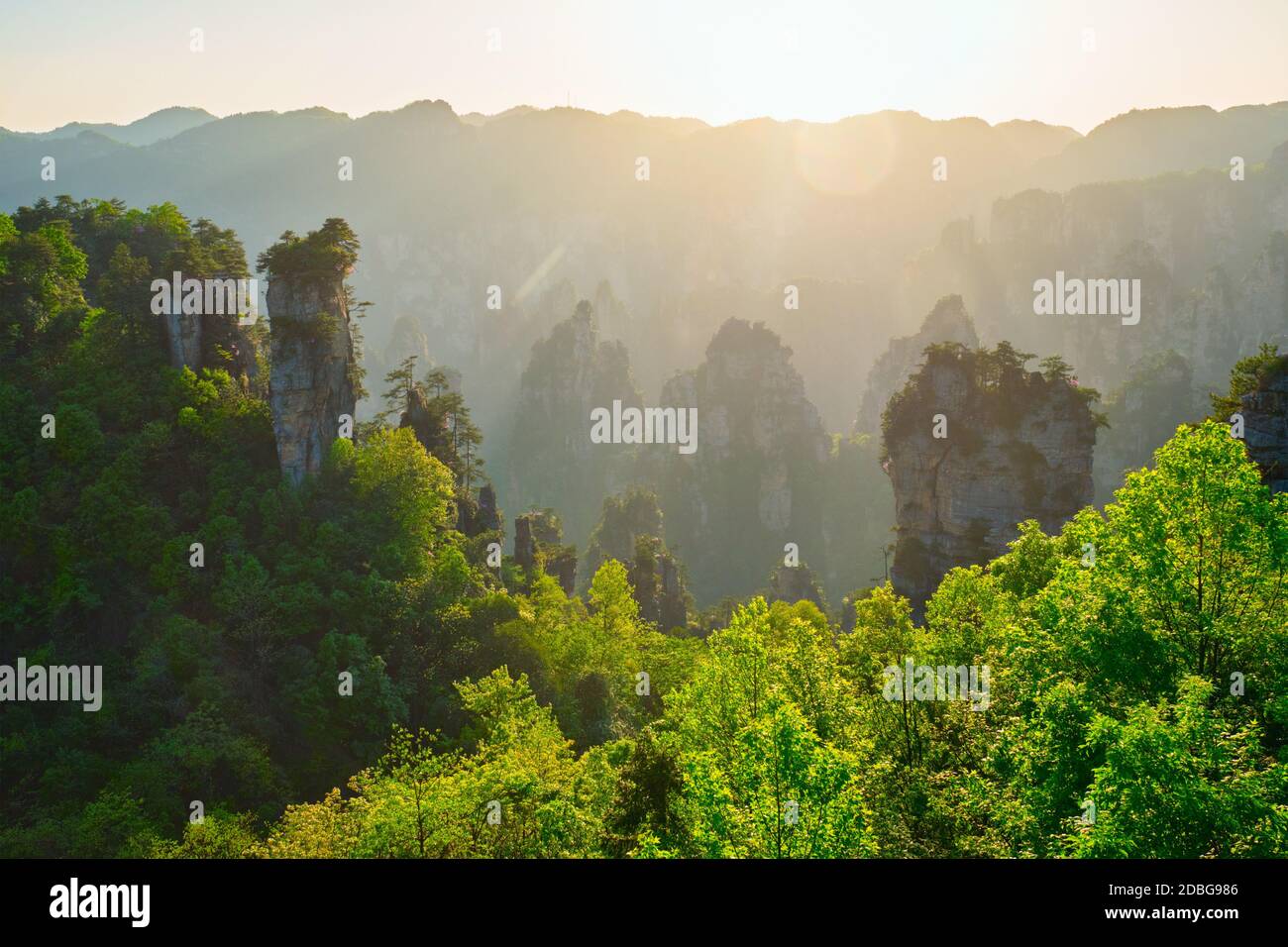 Famous tourist attraction of China - Zhangjiajie stone pillars cliff ...