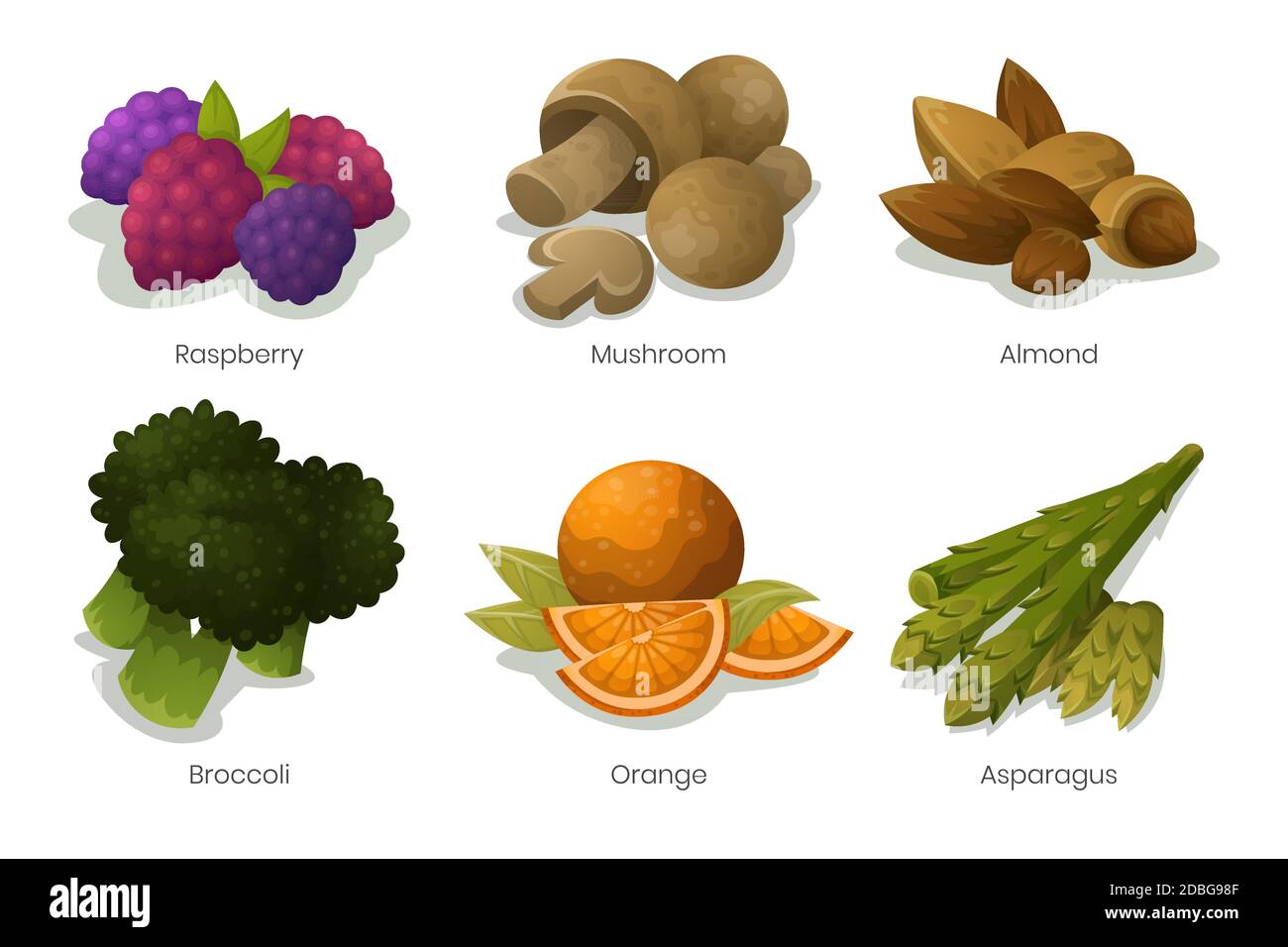 Superfood collection Vector illustration EPS 10 Stock Vector Image ...