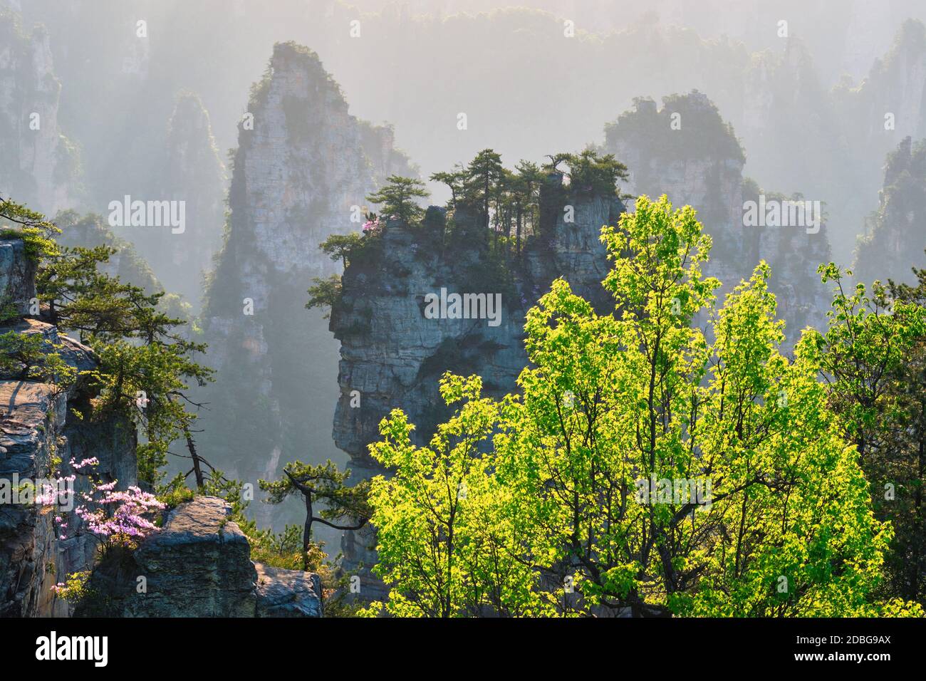 Famous tourist attraction of China - Zhangjiajie stone pillars cliff ...