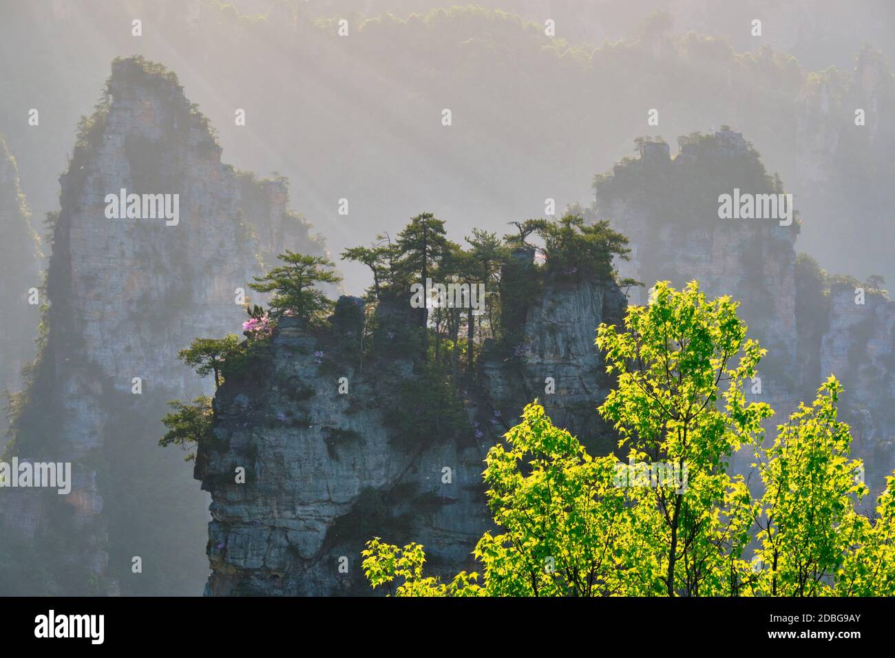 Famous tourist attraction of China - Zhangjiajie stone pillars cliff ...