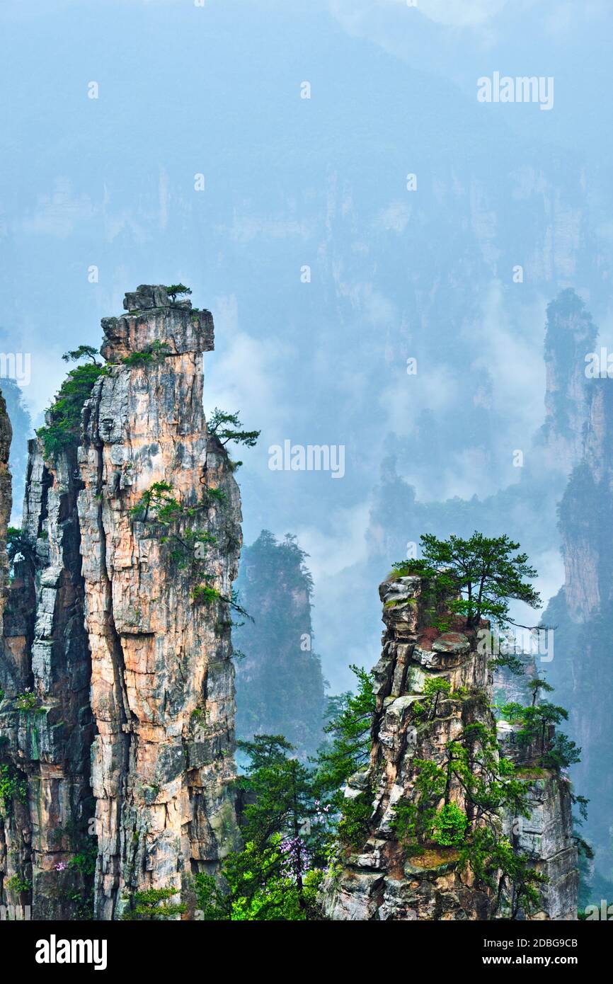 Famous tourist attraction of China - Zhangjiajie stone pillars cliff ...