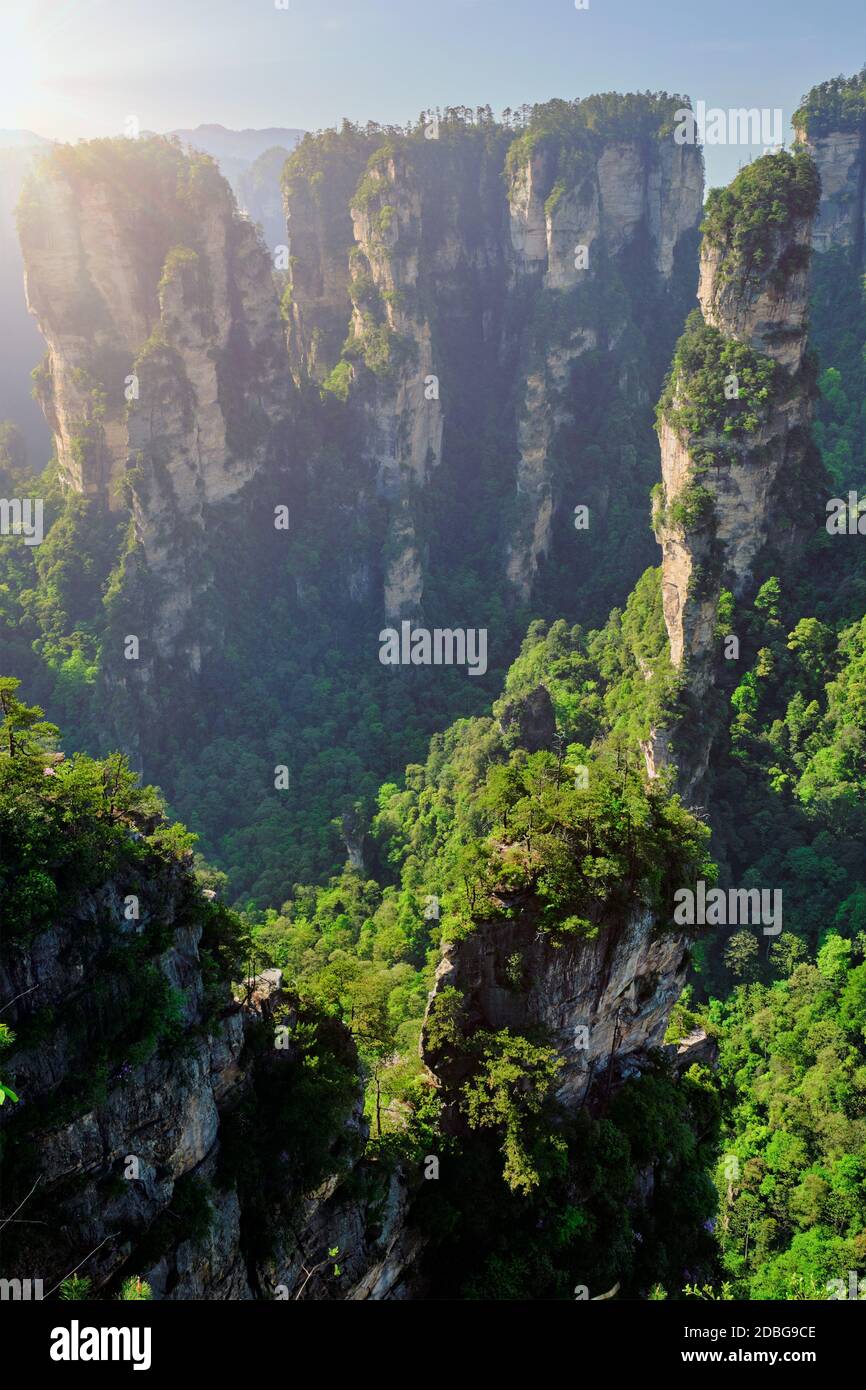 Famous tourist attraction of China - Zhangjiajie stone pillars cliff ...