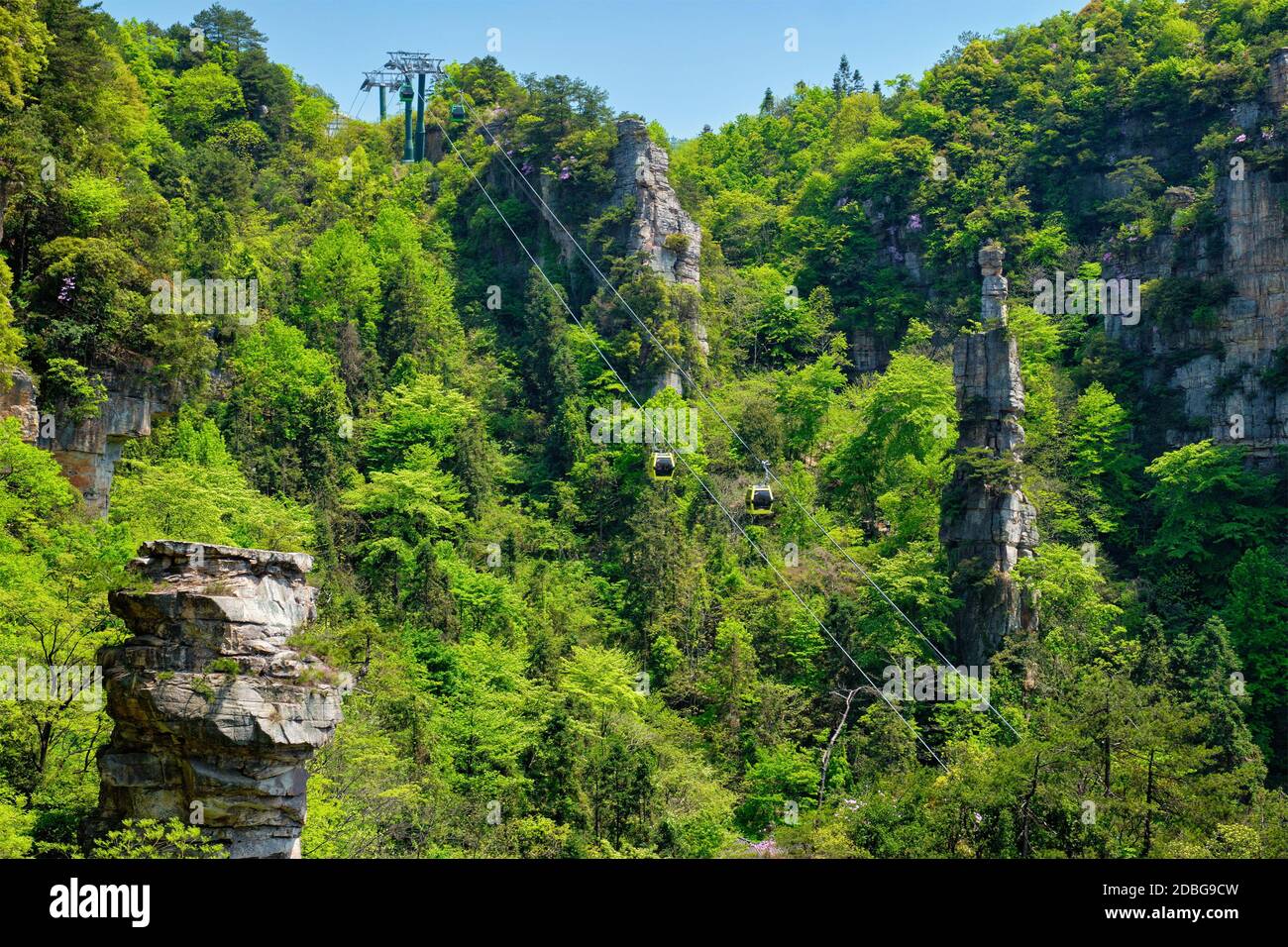Famous tourist attraction of China - Zhangjiajie stone pillars cliff ...