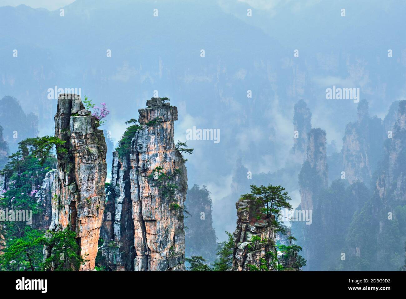 Famous tourist attraction of China - Zhangjiajie stone pillars cliff ...
