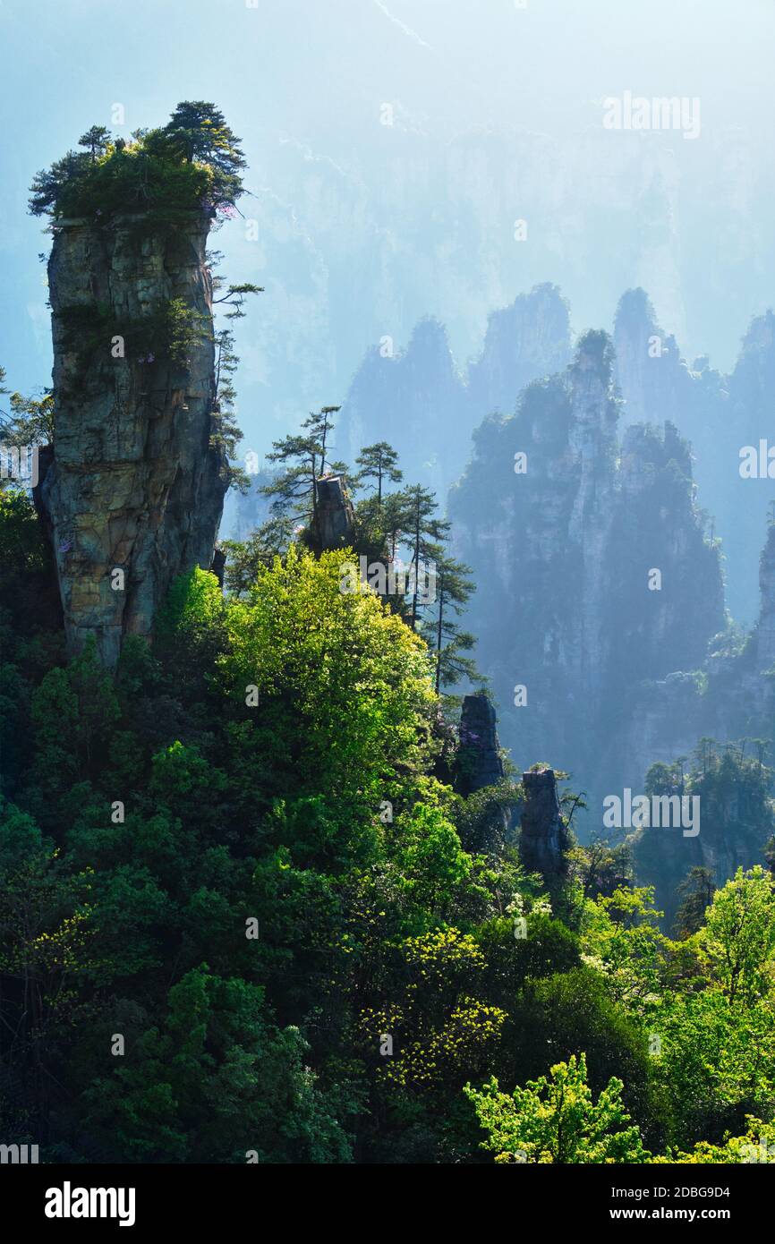 Famous tourist attraction of China - Zhangjiajie stone pillars cliff ...