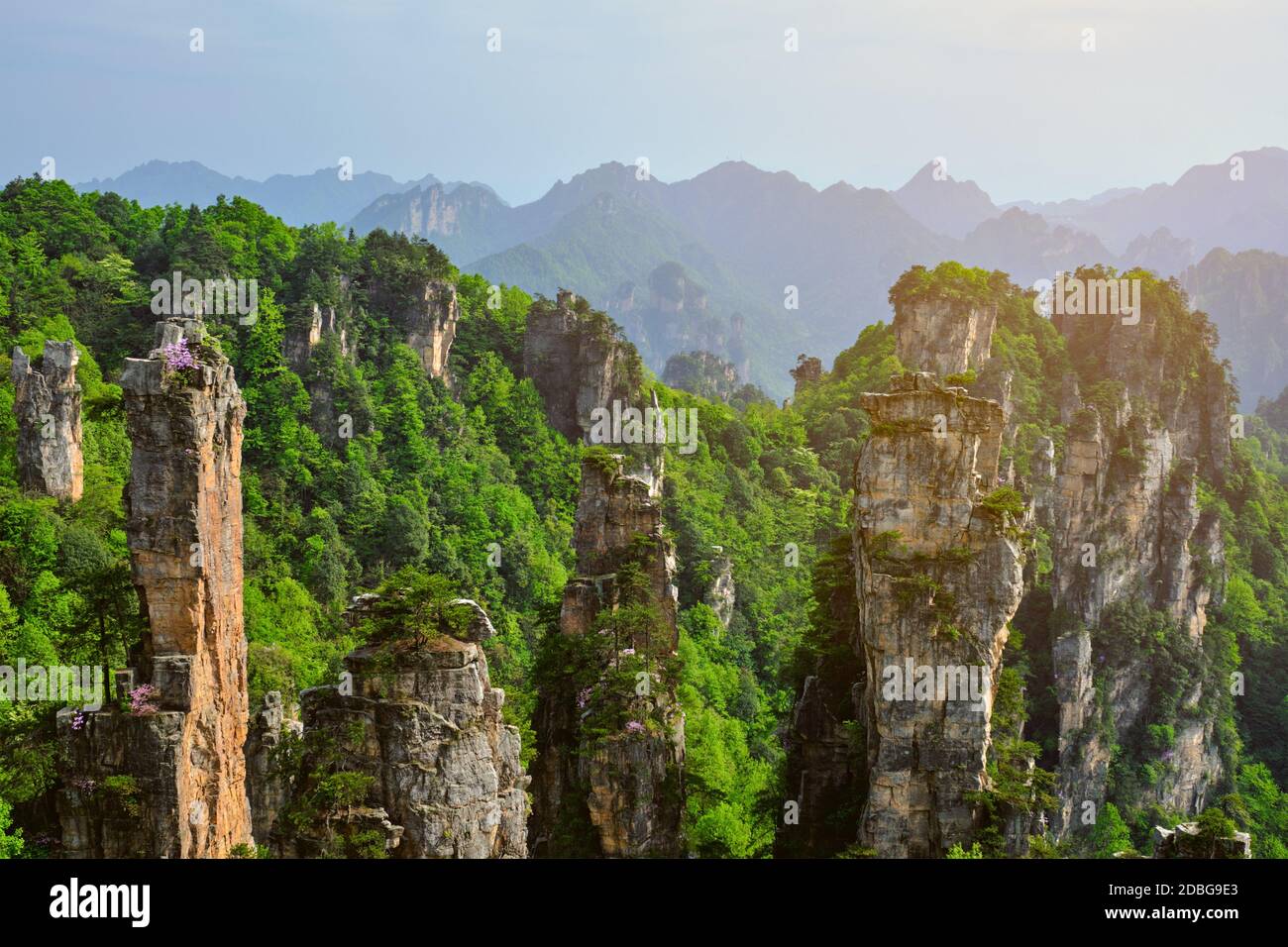 Famous tourist attraction of China - Zhangjiajie stone pillars cliff ...