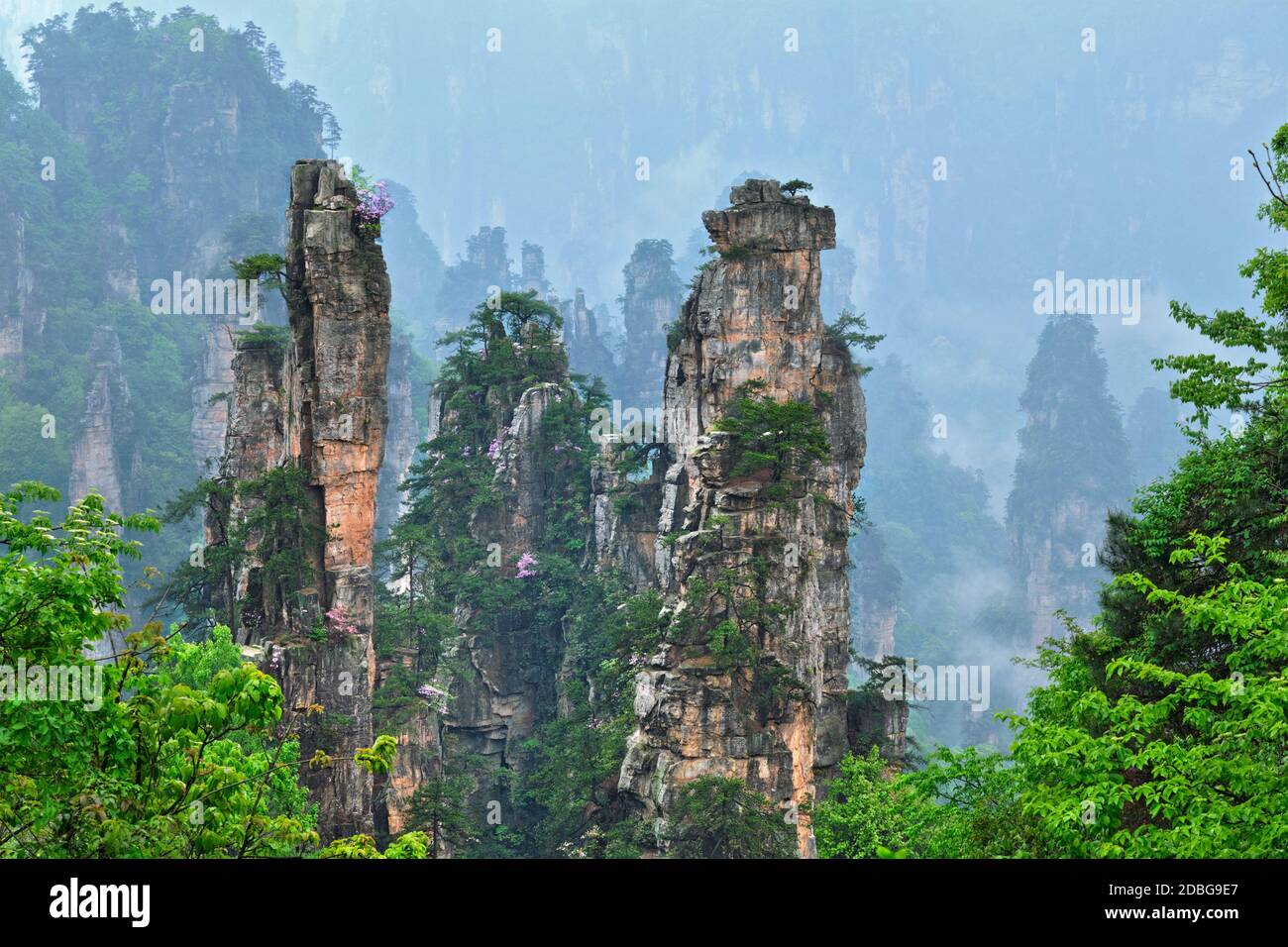 Famous tourist attraction of China - Zhangjiajie stone pillars cliff ...