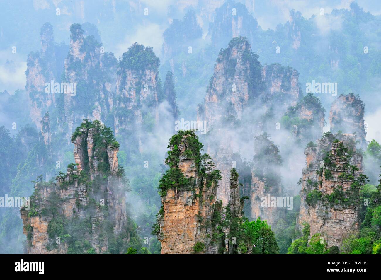 Famous tourist attraction of China - Zhangjiajie stone pillars cliff ...