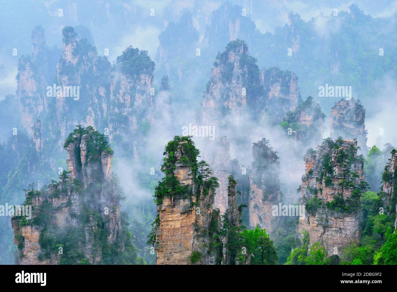 Famous tourist attraction of China - Zhangjiajie stone pillars cliff ...