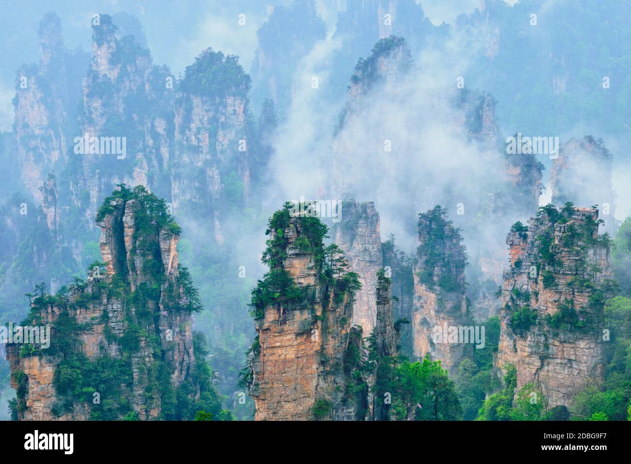 Famous tourist attraction of China - Zhangjiajie stone pillars cliff ...