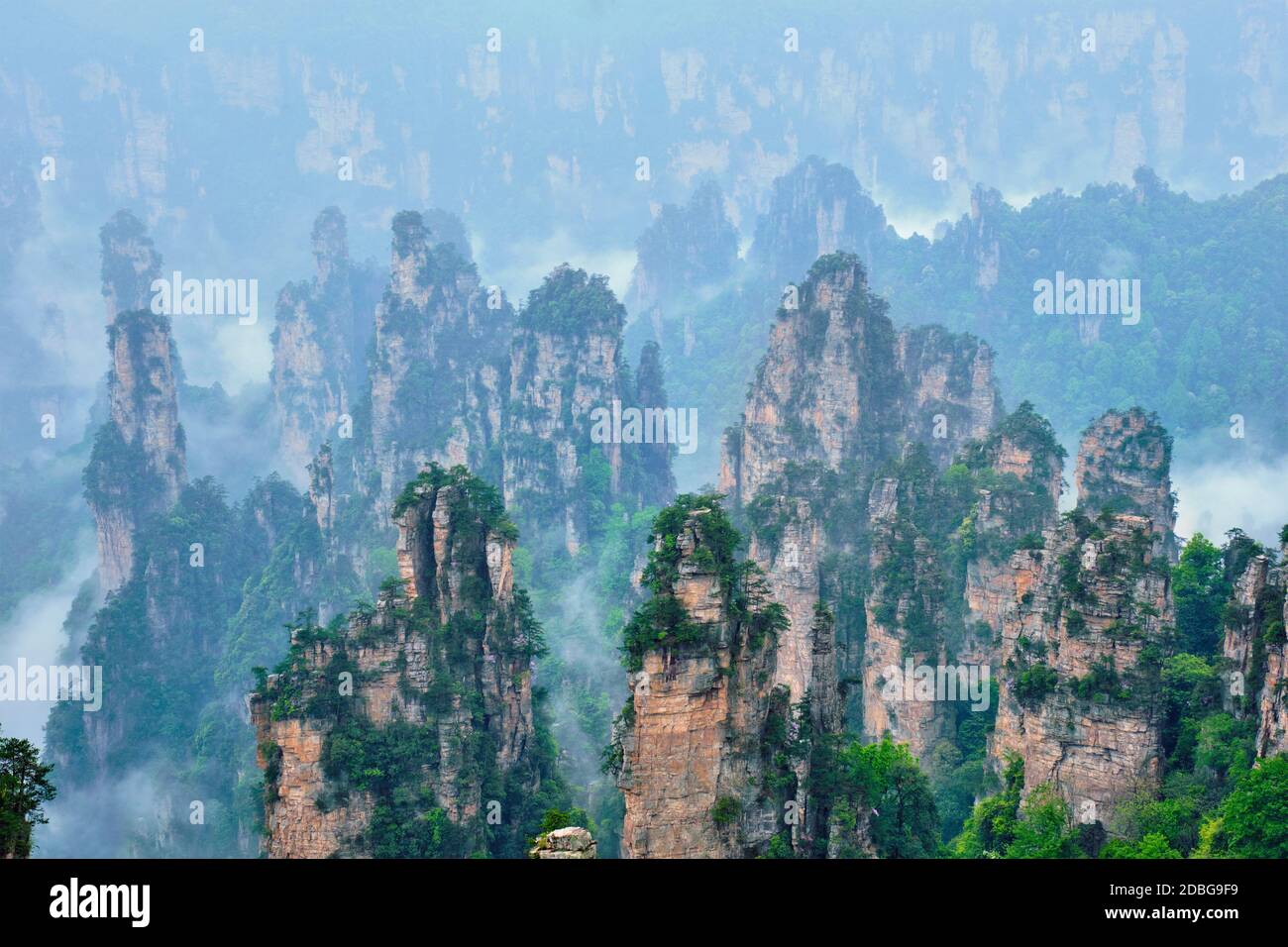 Famous tourist attraction of China - Zhangjiajie stone pillars cliff ...