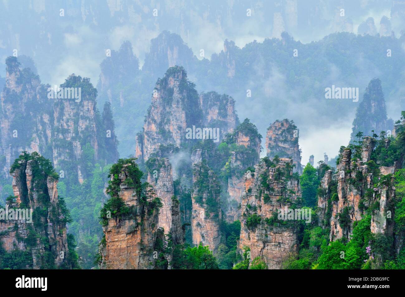 Famous tourist attraction of China - Zhangjiajie stone pillars cliff ...