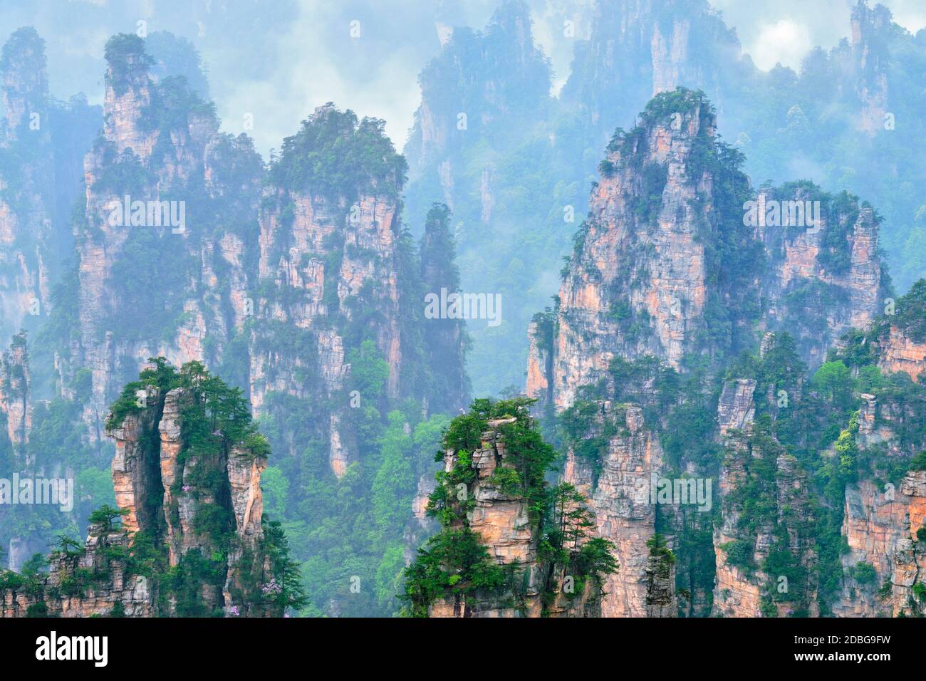 Famous tourist attraction of China - Zhangjiajie stone pillars cliff ...