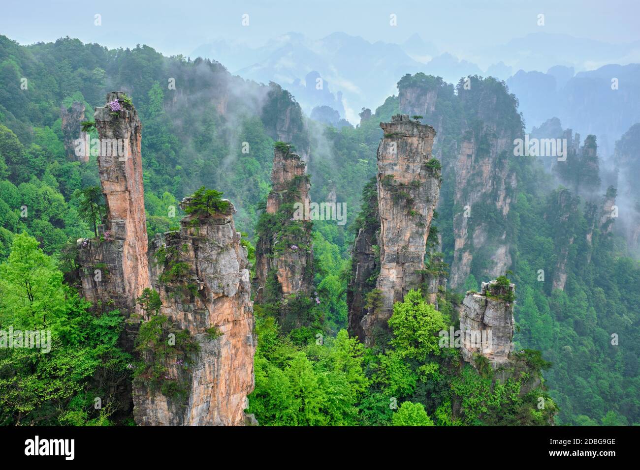 Famous tourist attraction of China - Zhangjiajie stone pillars cliff ...