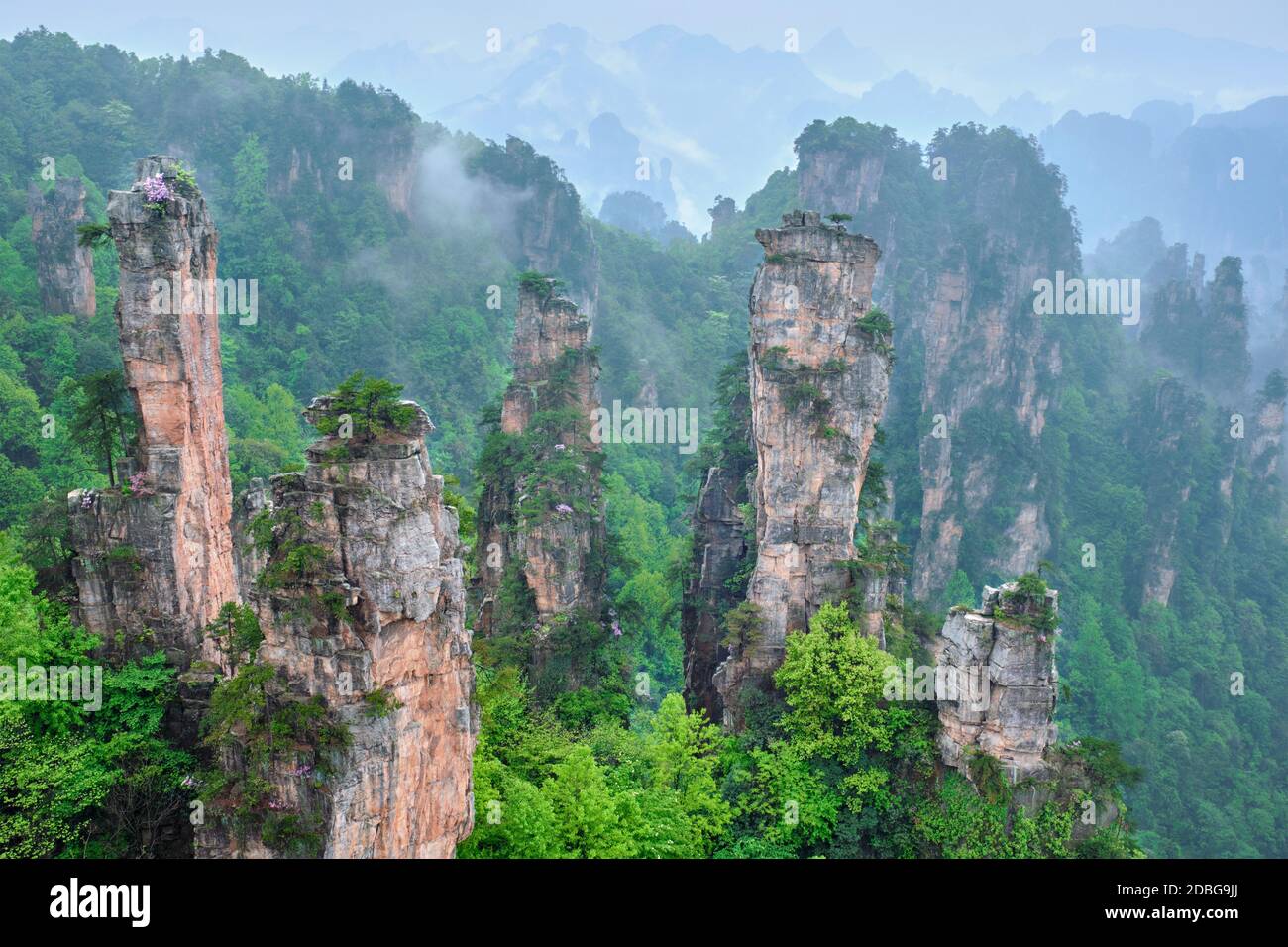 Famous tourist attraction of China - Zhangjiajie stone pillars cliff ...