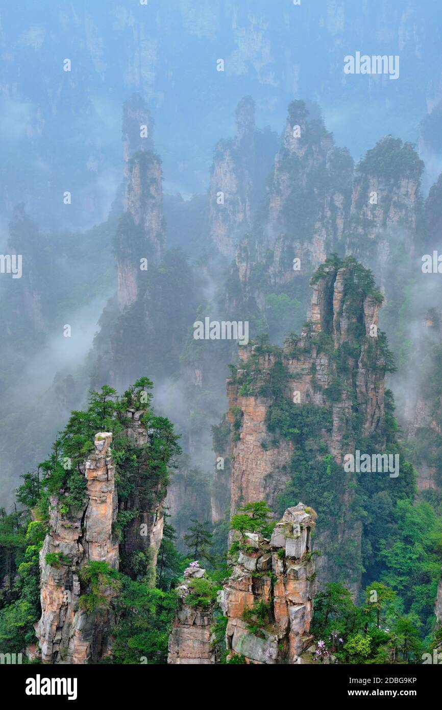 Famous tourist attraction of China - Zhangjiajie stone pillars cliff ...